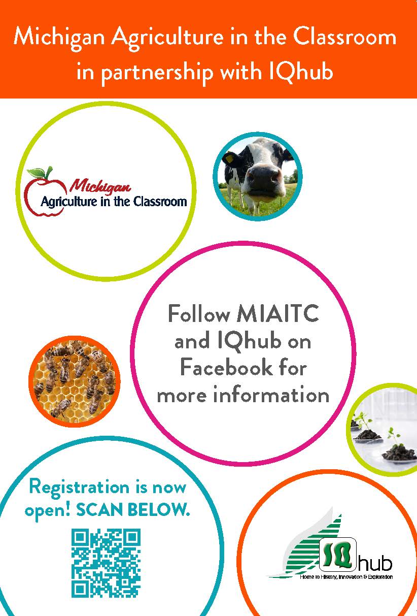 Teacher Professional Development Day - IQhub